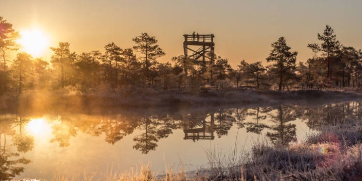 15 skaistākās pavasara pastaigu un apskates vietas Latvijā ...
