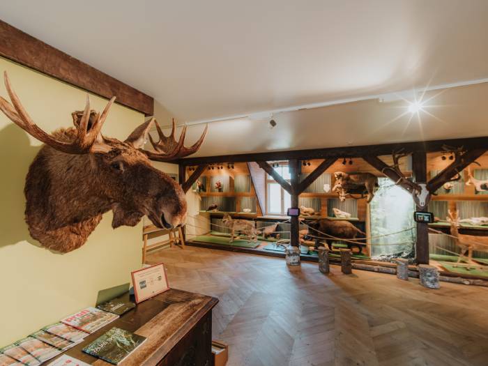 Brīvdienas pilī + jautras izklaides 4 pers. ĢIMENEI par 185 ...